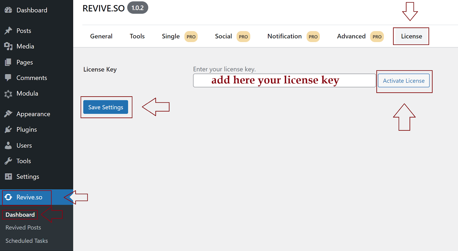 Getting Started Guide - Revive.so